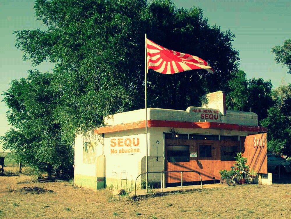 HAIR SERVICE SEQU | world of sequ site